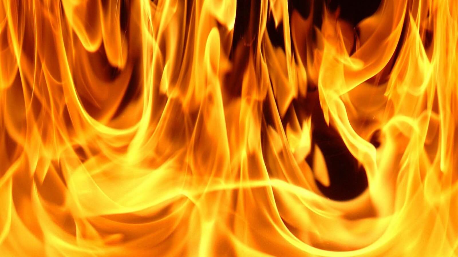 Combusting | Petrogas